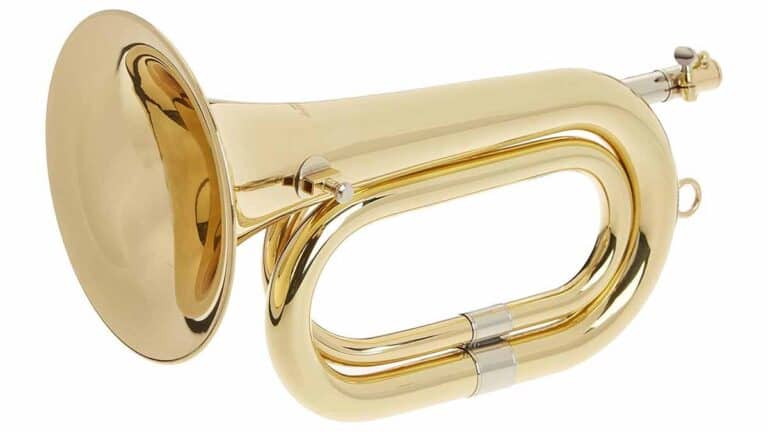 Cornetas: Guía completa y Recomendaciones | 2025