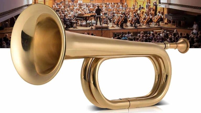 Cornetas: Guía completa y Recomendaciones | 2025